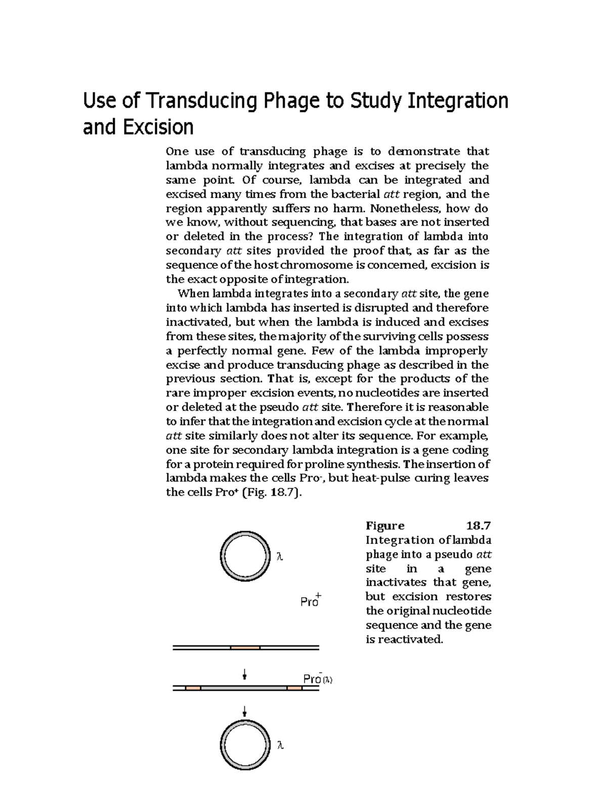 Use of Transducing Phage to Study Integration and Excision - Of course ...