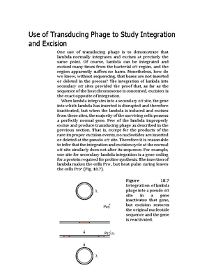 The Structure and Biology of Lambda - A tail fiber extends an ...