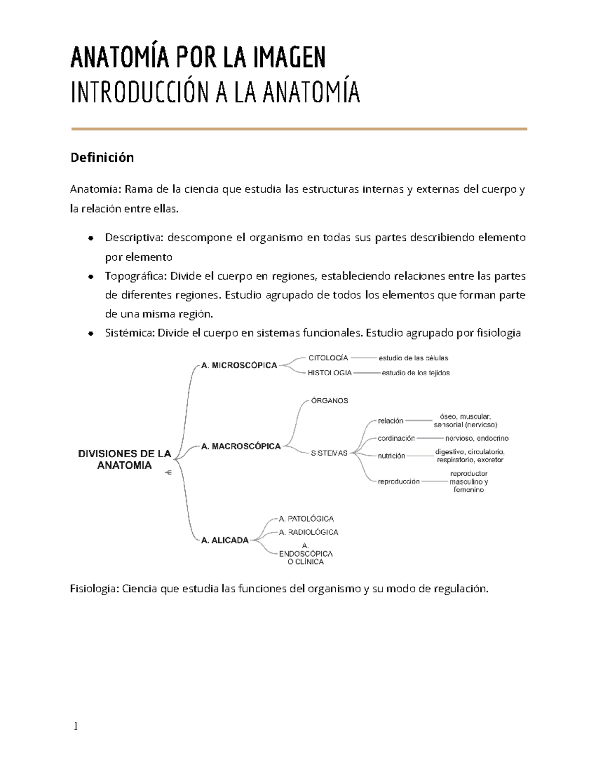 Anatomia UF1-2 - apuntes del CFGS Imagen para el diagnostico - ANATOMÍA ...