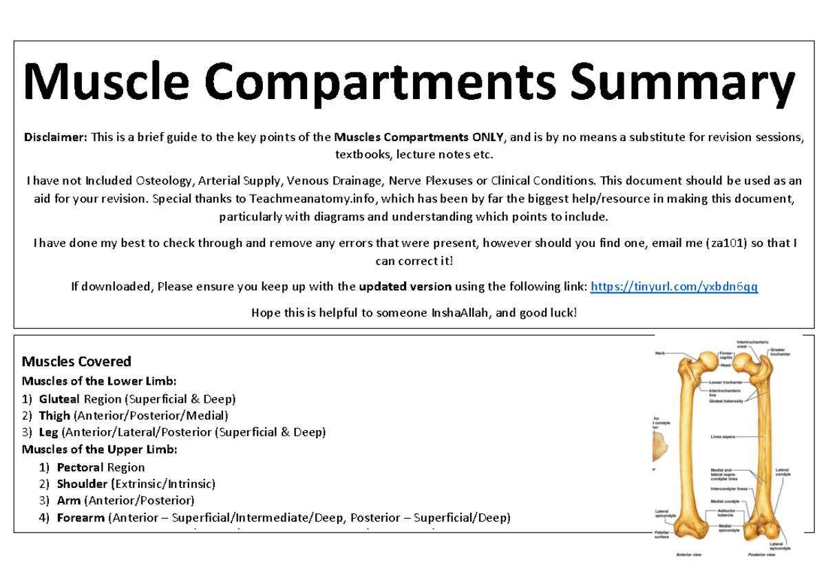 MSK - Muscle Compartments-1 - Muscle Compartments Summary Disclaimer ...