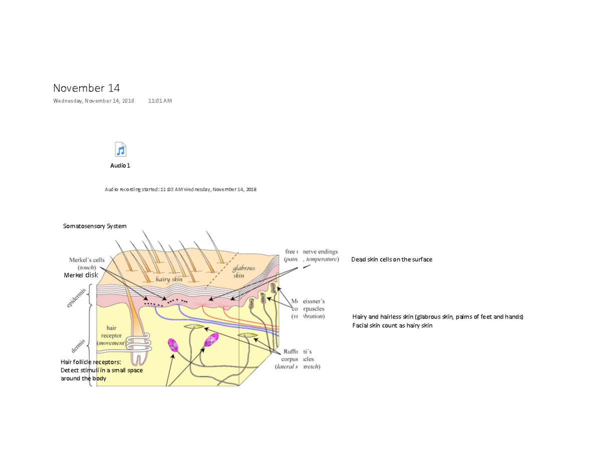 Lecture Notes 15 Warning Tt Undefined Function 32 Audio 1 Audio Recording Started 11 03 Am