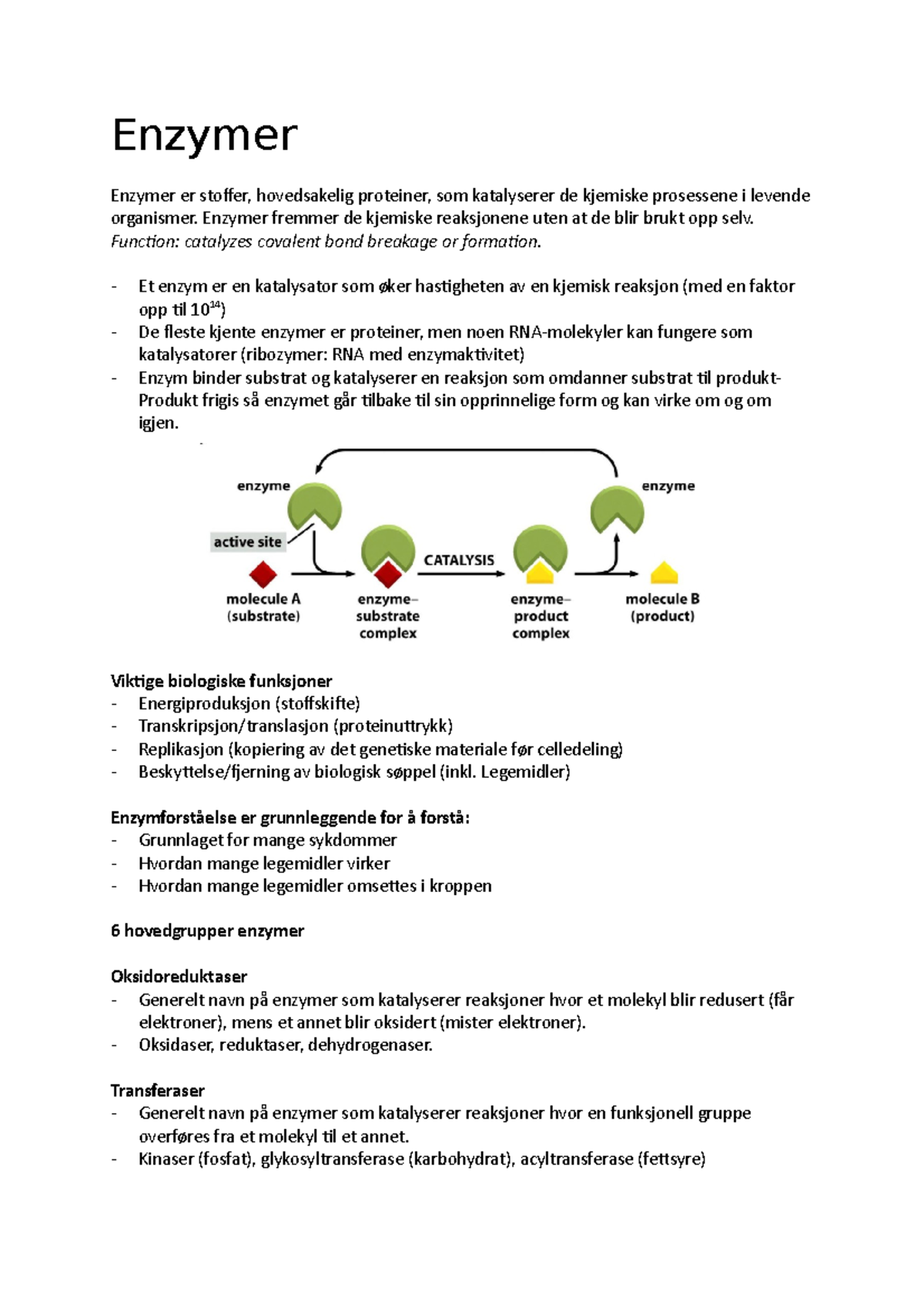 Enzymer - Enzymer Enzymer er stoffer, hovedsakelig proteiner, som ...