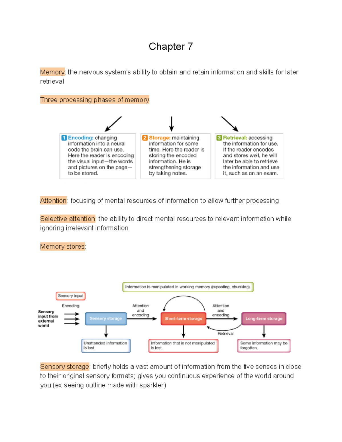 Psych Chapter 7 - Chapter 7 Memory: the nervous system’s ability to ...