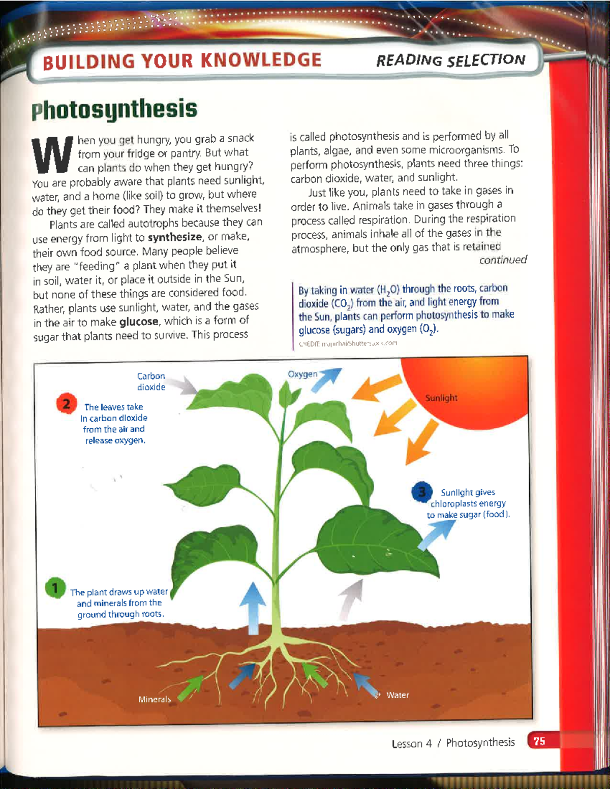 Photosynthesis - Biology - BUITD¡NG YOUR KNOWLEDGE READIUG SELECTION ...