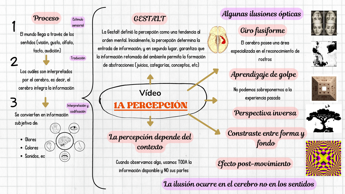 La percepción - Vídeo lA PERCEPCIÓN GESTALT La percepción depende del ...