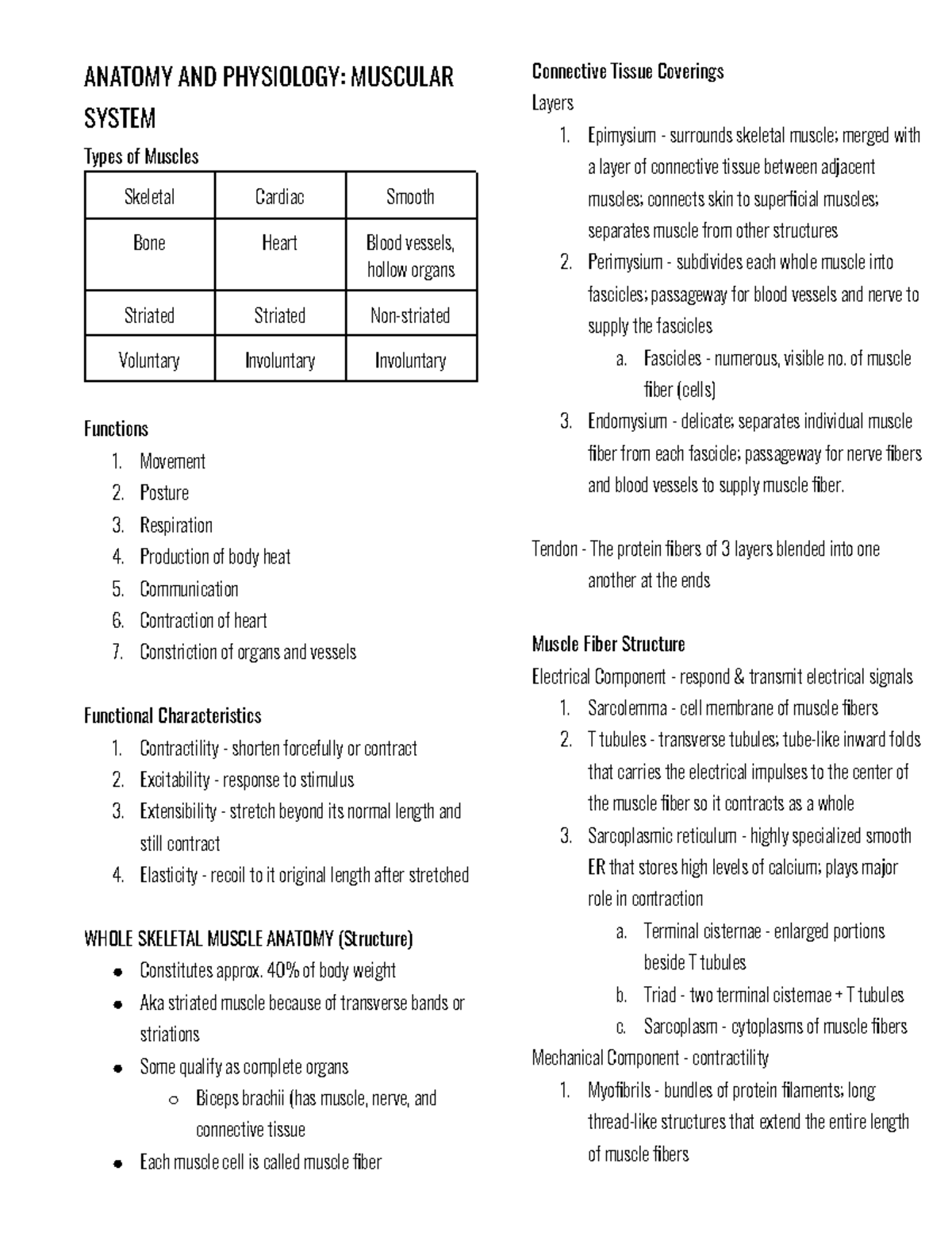 7-Muscular-System - hello - ANATOMY AND PHYSIOLOGY: MUSCULAR SYSTEM ...