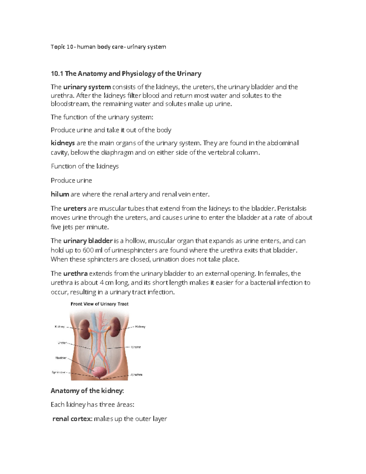 Topic 10- Human Body Care - Topic 10- human body care- urinary system ...