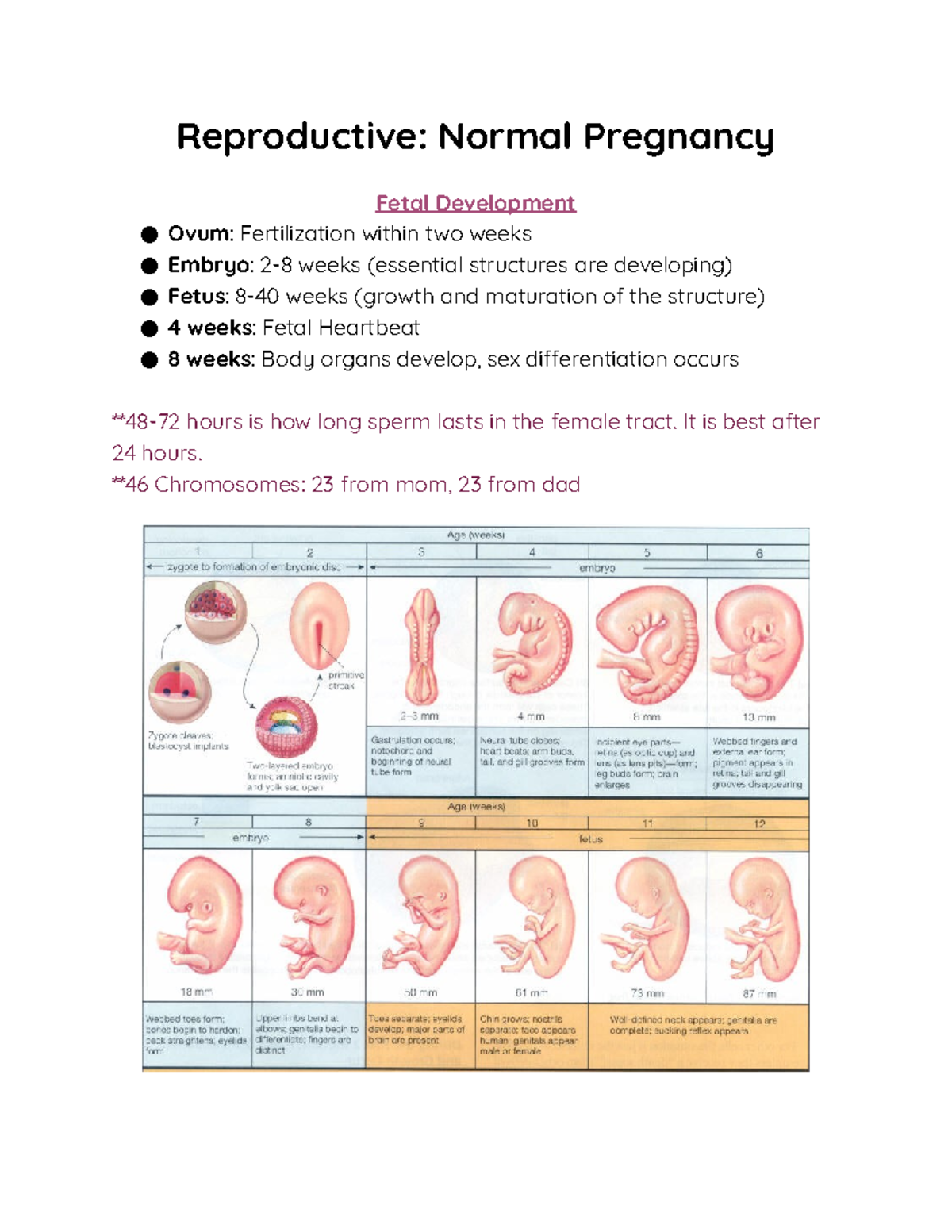 Reproductive: Normal Pregnancy - It is best after 24 hours. **46 ...
