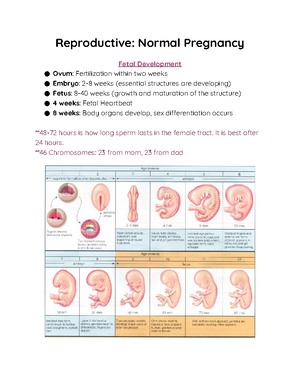 Reproductive Normal Childbirth - Reproductive: Normal Childbirth Normal ...