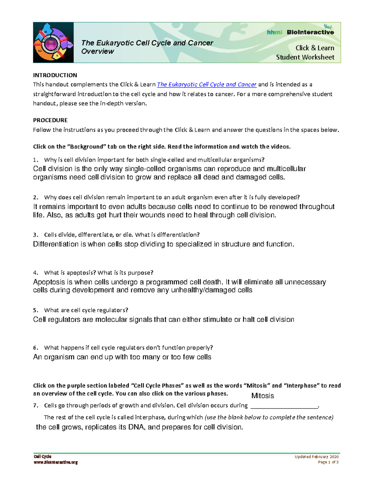 Cell Cycle Worksheet 1 - Click & Learn Student Worksheet The Eukaryotic ...
