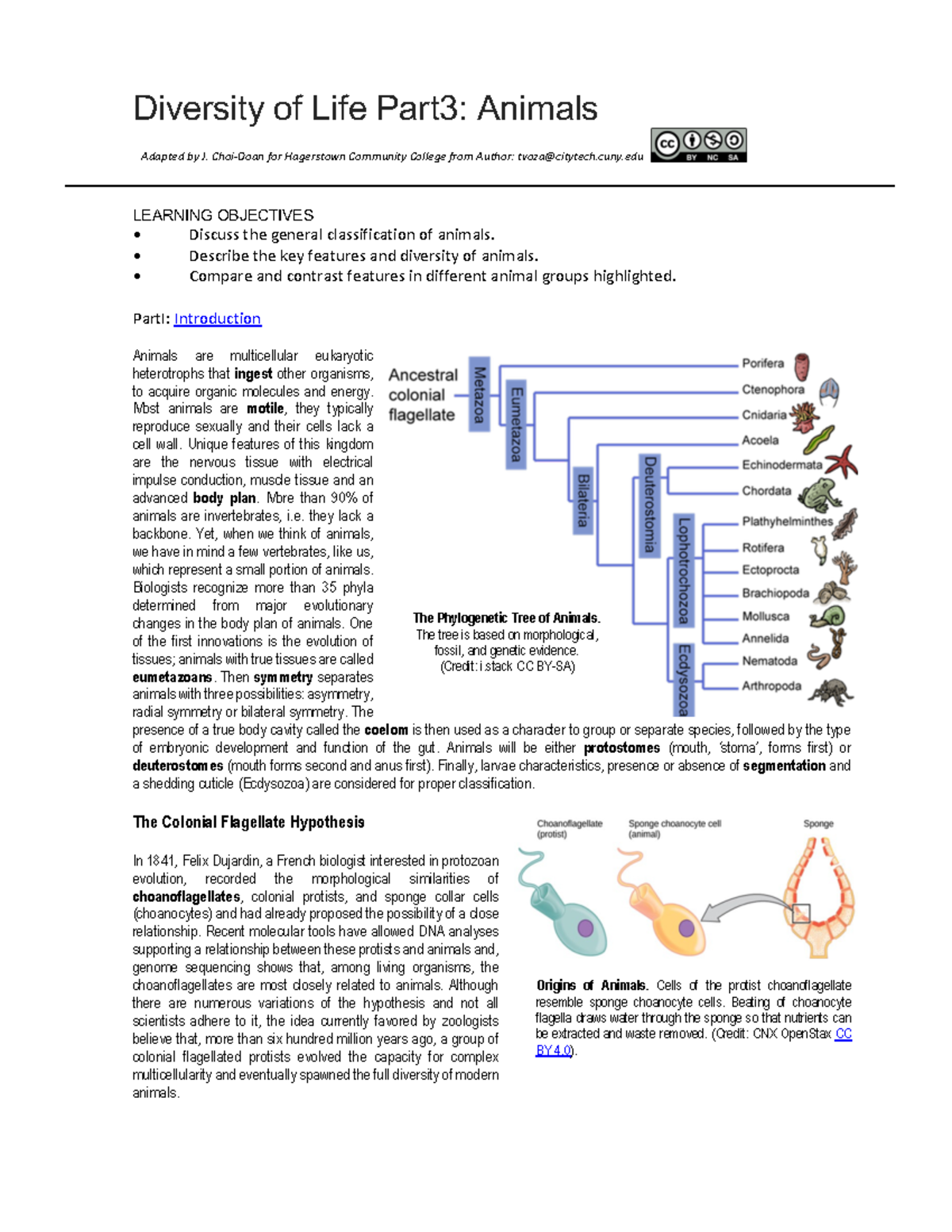 Lab Diversity Animals S21 - BIO 114 - HCC - Studocu