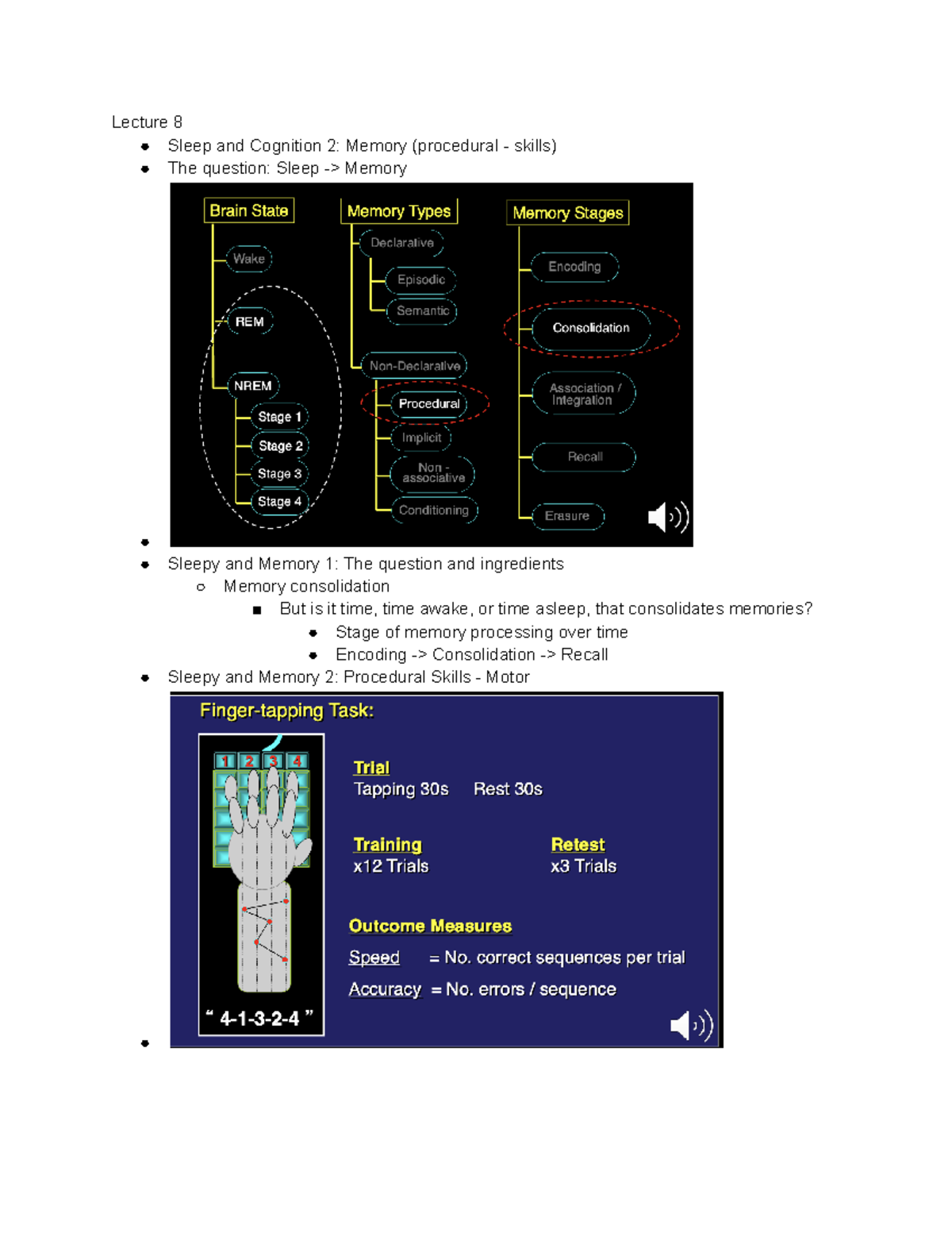 Psych 133 Midterm 2 Study Guide - Lecture 8 Sleep and Cognition 2: Memory (procedural - skills ...