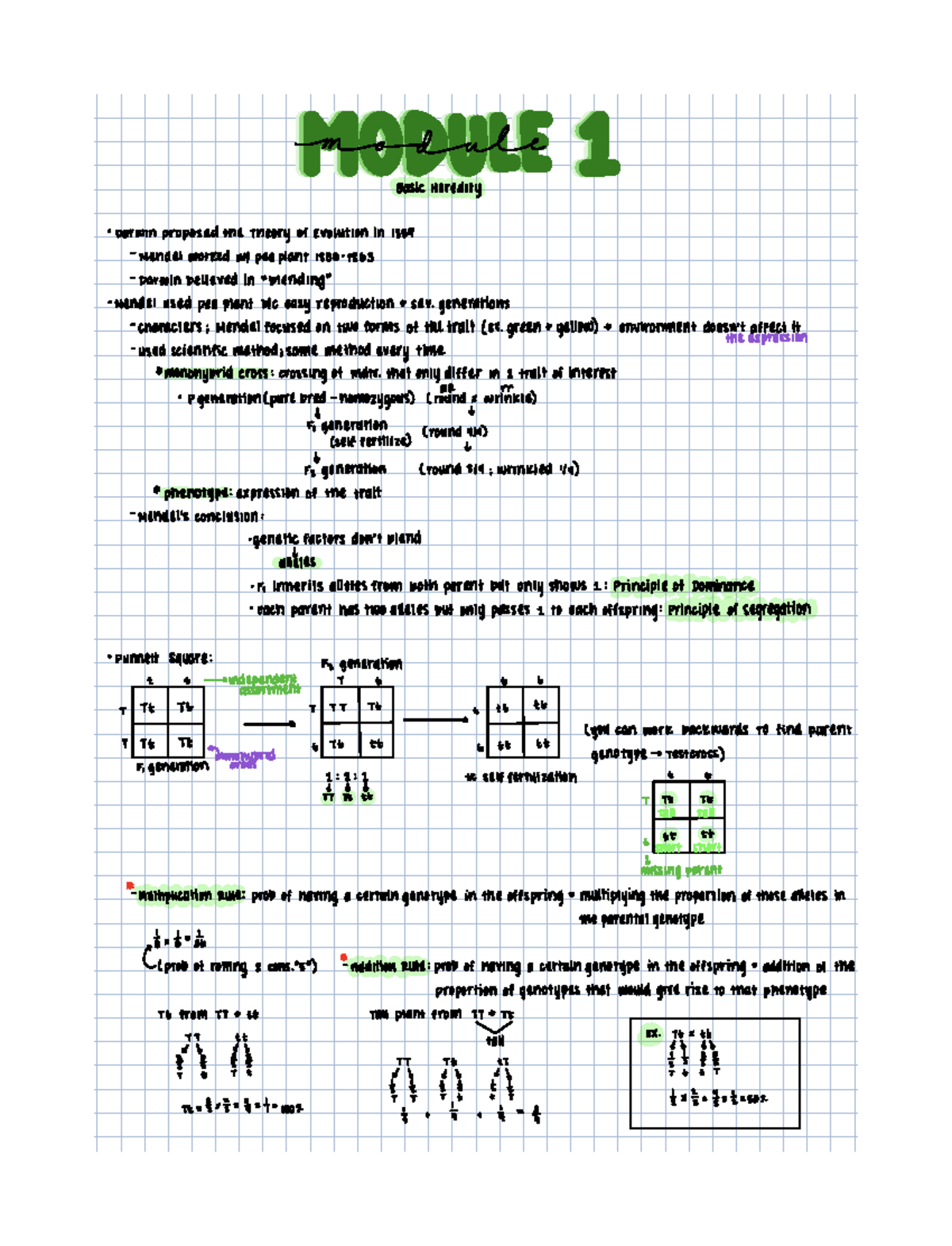 Module 1 Lecture Notes Pp Monkee I Basicheredity Darwinproposedthetheoryofevolutionin 1859