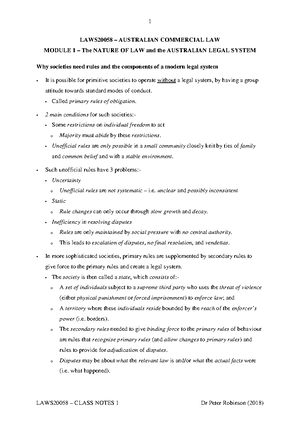 IRAC method, explanation, and example v2 - USING THE I-R-A-C STRUCTURE ...