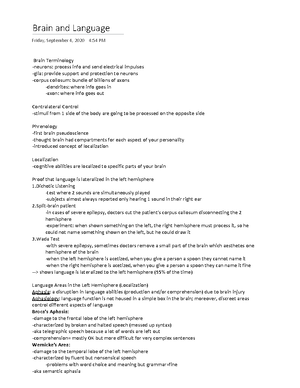 Review lesson 6 - Spanish 1 - LING 1 - Studocu