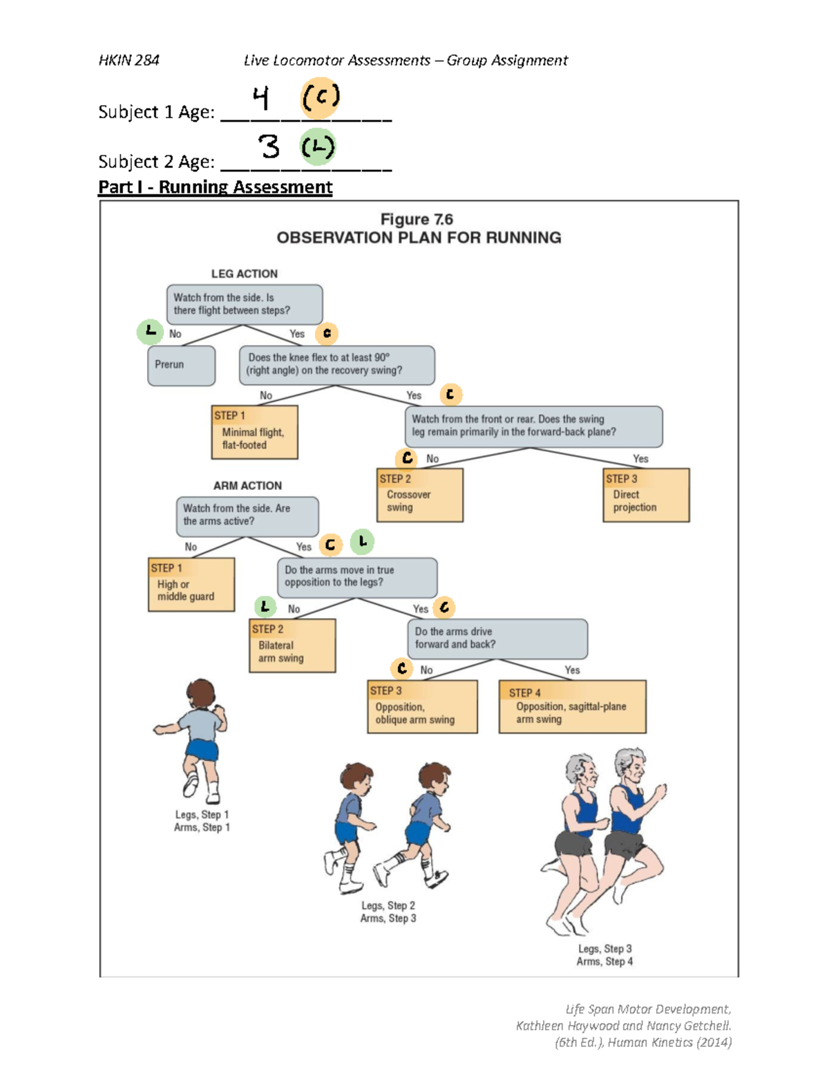Live Locomotor Assessment Doc - Life Span Motor Development, Kathleen ...