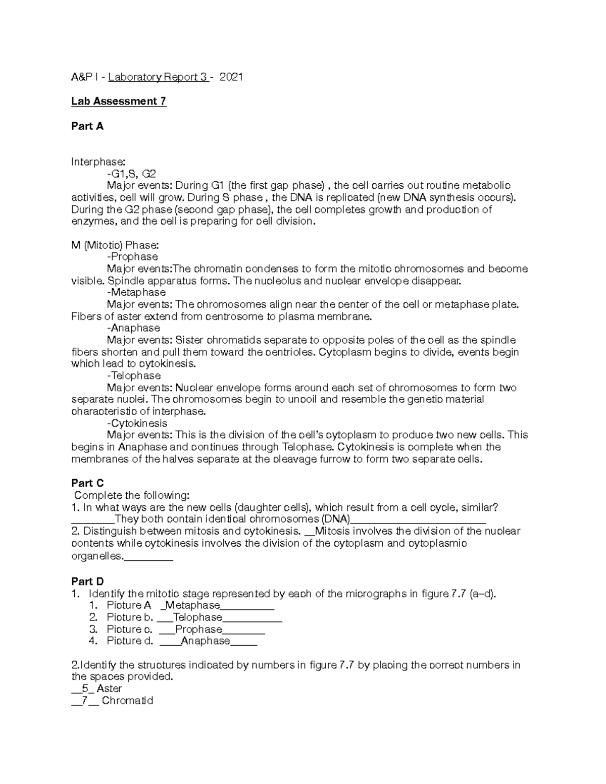 A&P I Laboratory Report 3 2021 - A&P I - Laboratory Report 3 - 2021 Lab ...