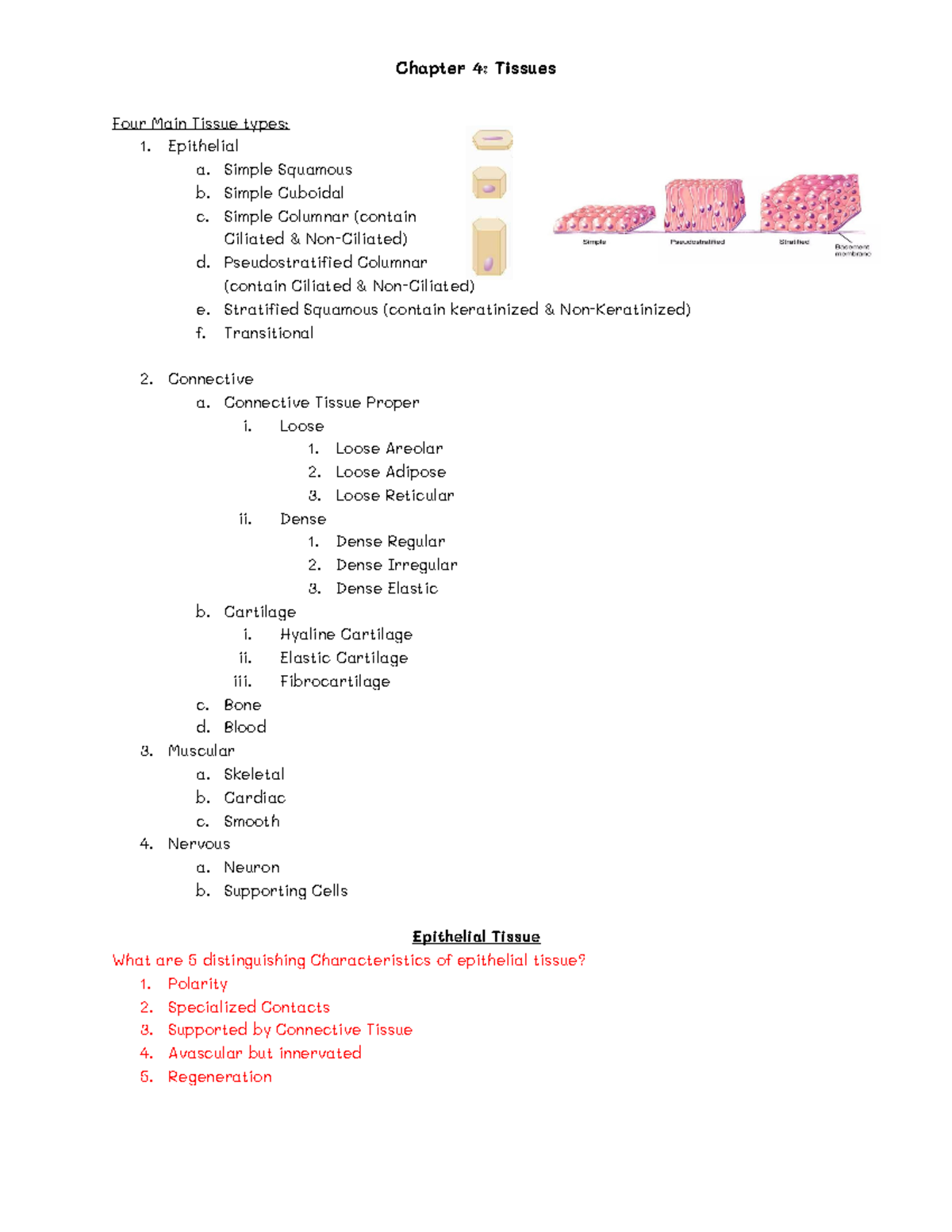 Chapter 4 Study Guide for Anatomy & Physiology 1 (Tissues) - Chapter 4 ...