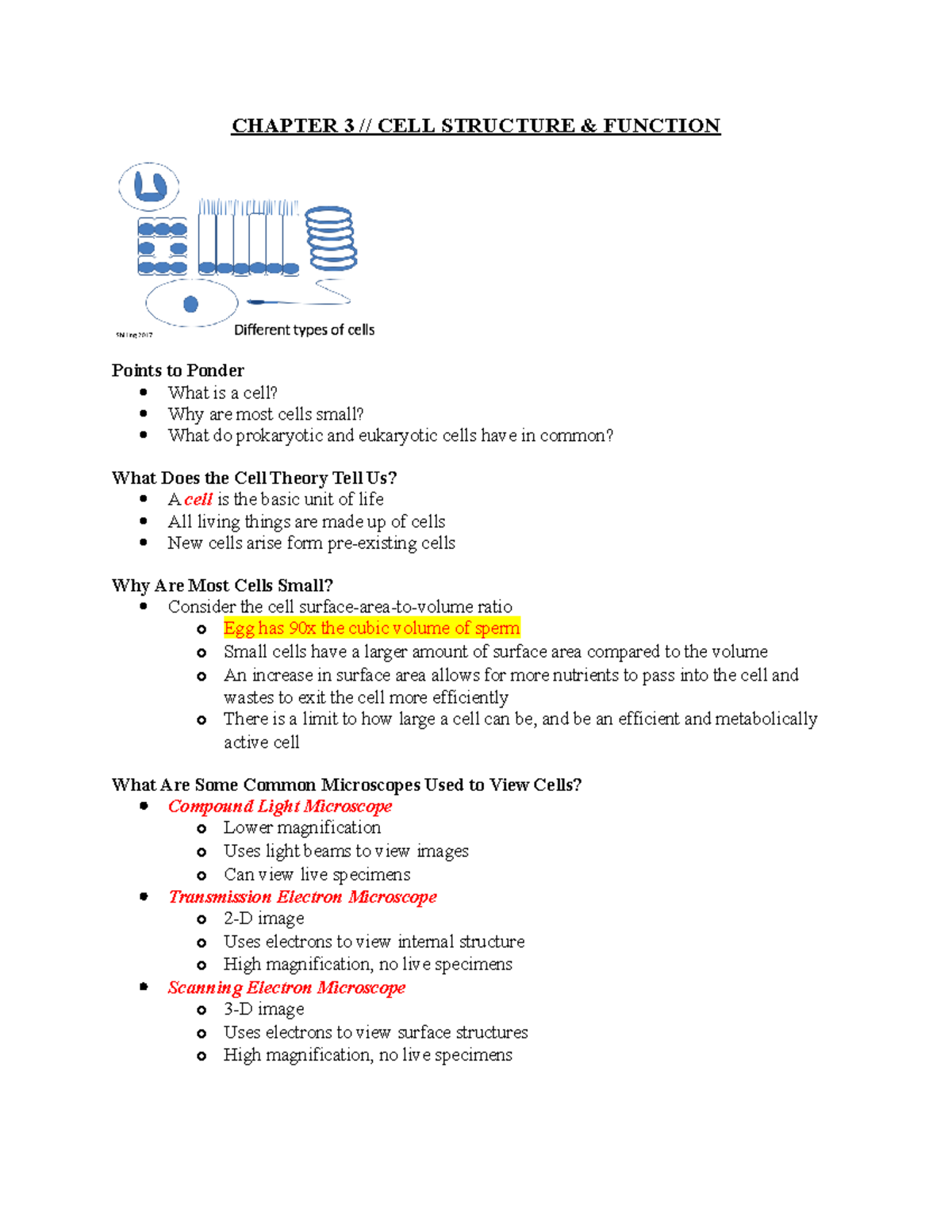 CELL STRUCTURE AND FUNCTION - CHAPTER 3 // CELL STRUCTURE & FUNCTION ...