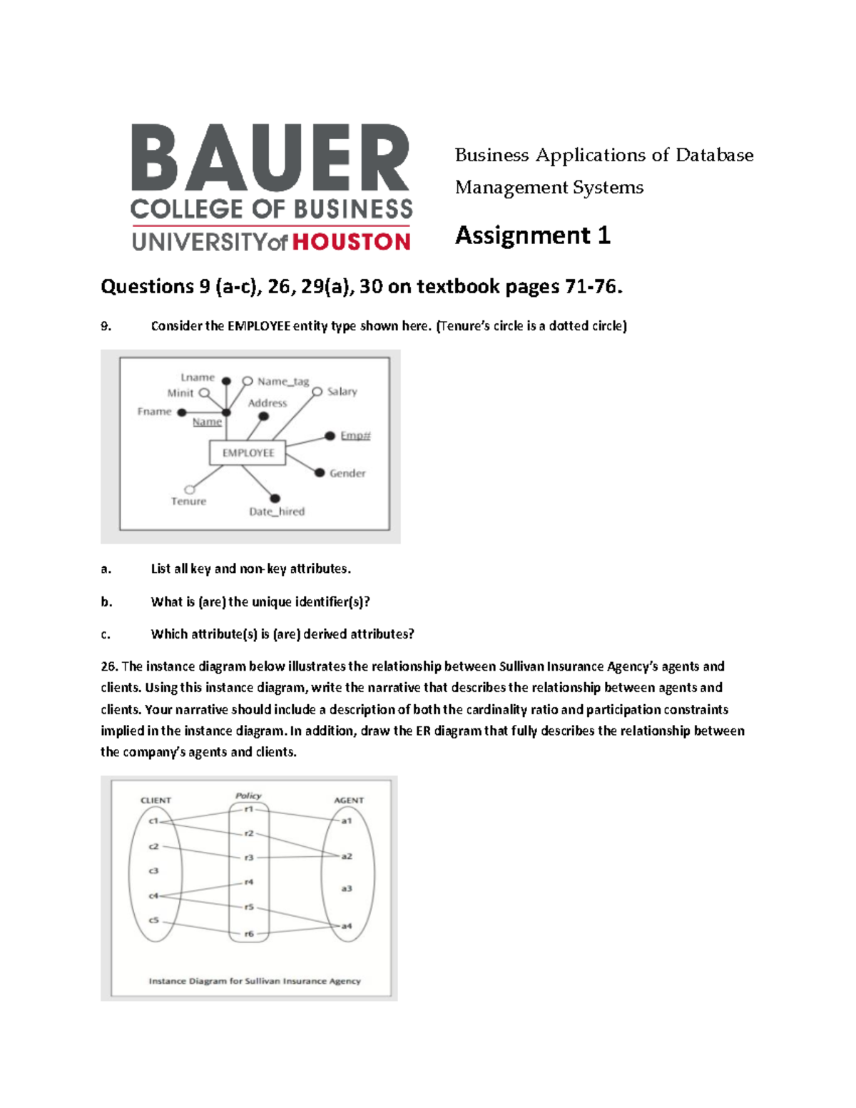Assignment 1 instruction 2023-2 - Business Applications of Database ...