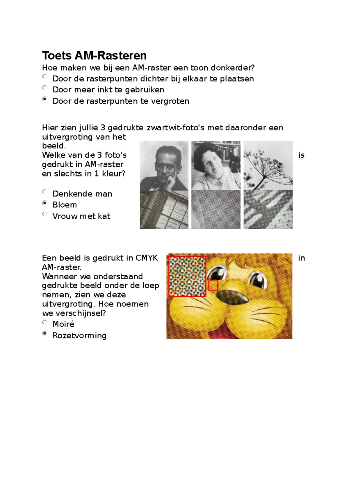 Toets AM - Toets AM-Rasteren Hoe maken we bij een AM-raster een toon ...