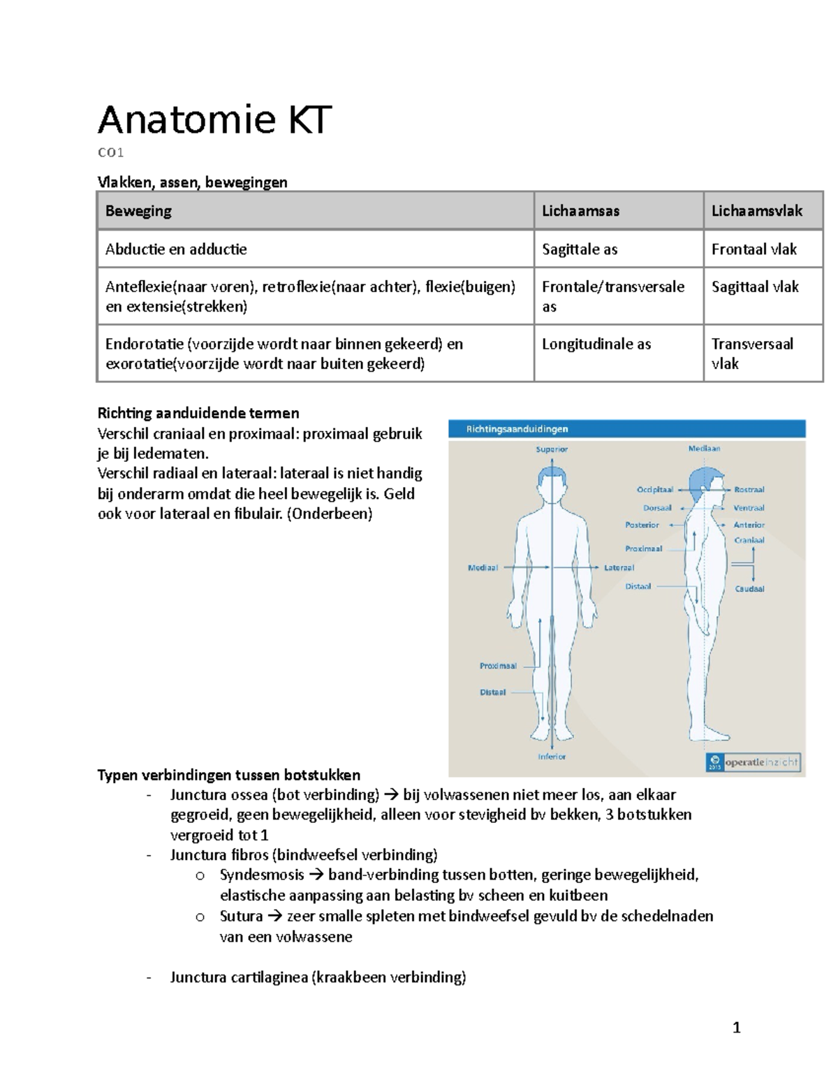KT1 - Samenvatting Anatomie - Anatomie KT CO1 Vlakken, assen ...