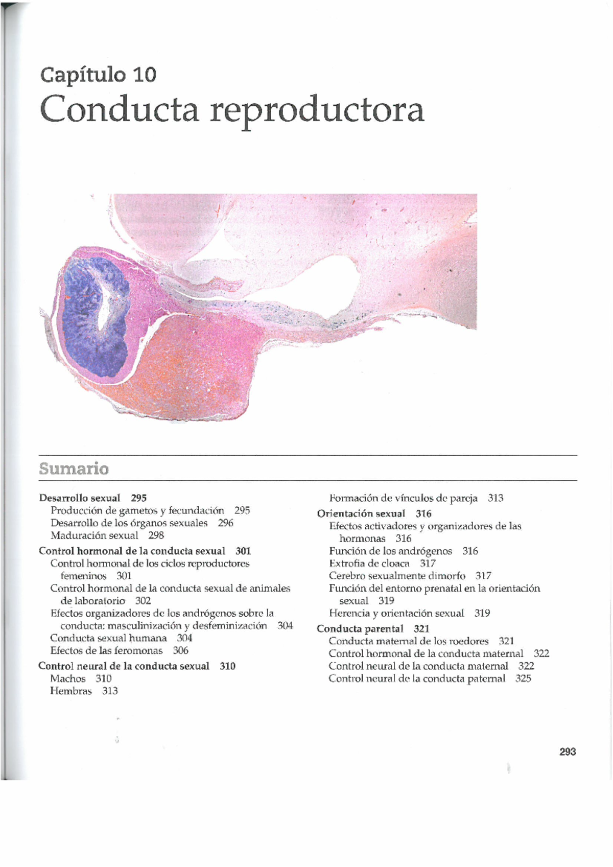 Carlson 2018 Conducta reproductora cap 10 - Psicología Fisiológica - US ...