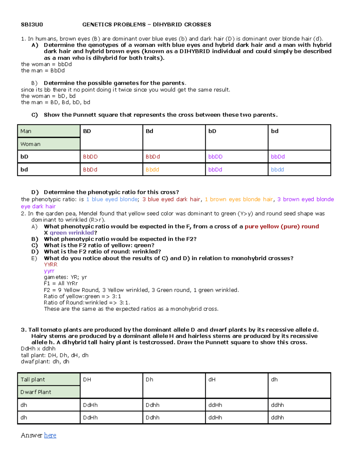 Dihybrid Cross Problems - SBI3U0 GENETICS PROBLEMS – DlHYBRID CROSSES ...