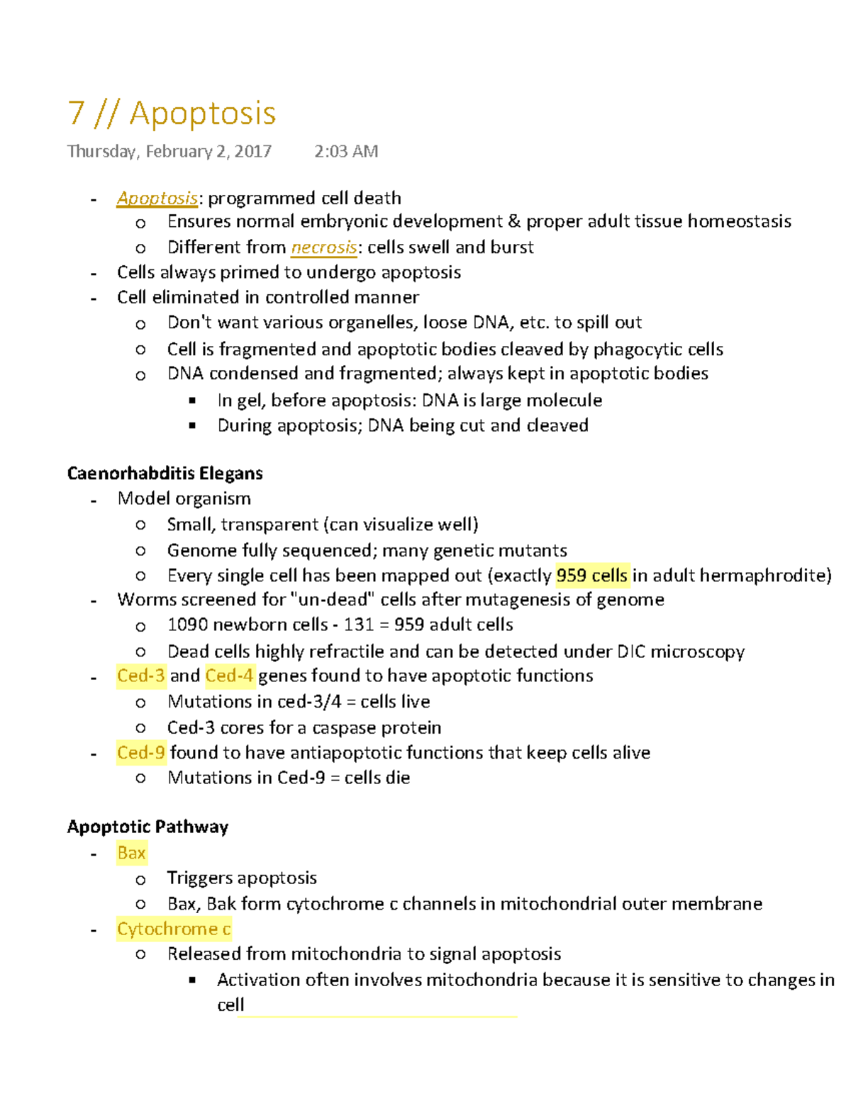 7 Apoptosis - Lecture notes for bio2382 2017 - Apoptosis: programmed ...