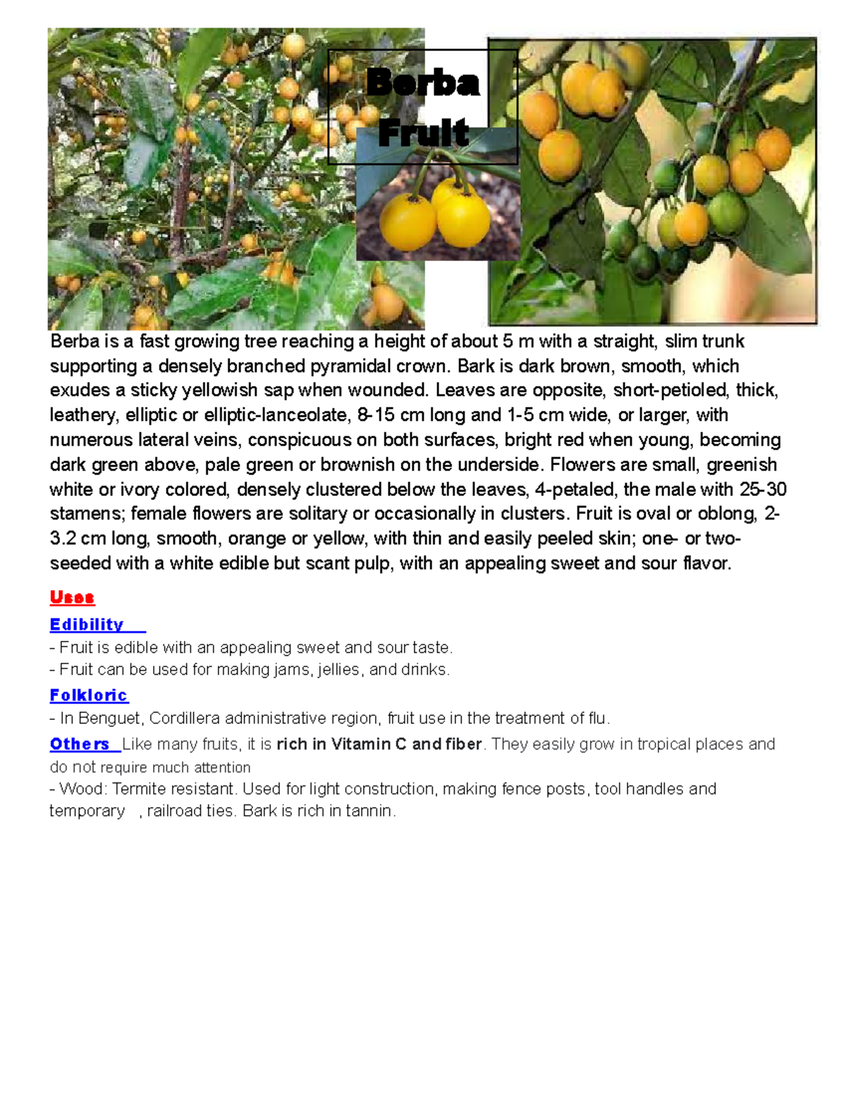 Berba fruit - Mathematical language is a system used in the field of ...