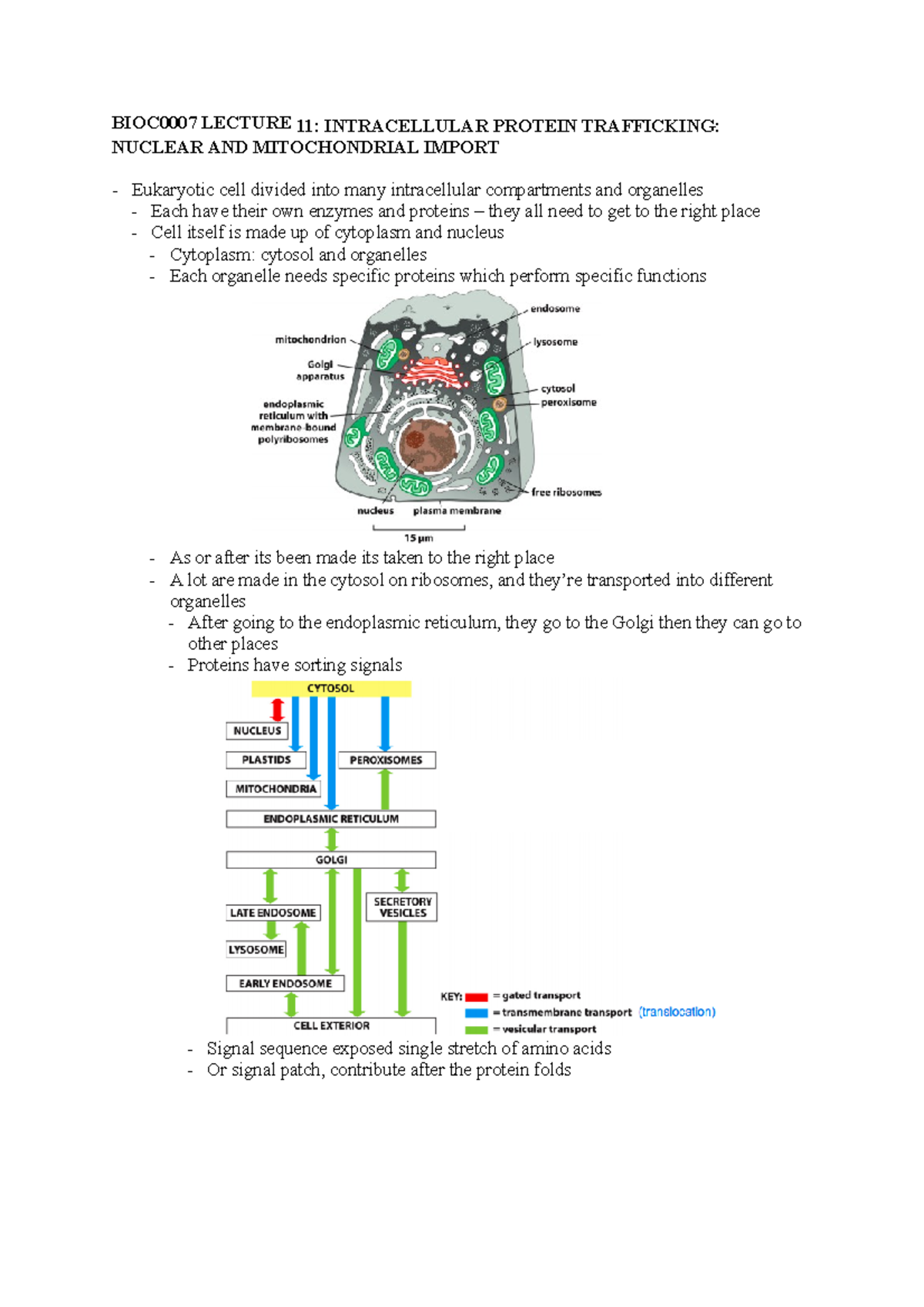 BIOC0007 Lecture 11 - BIOC0007 LECTURE 11: INTRACELLULAR PROTEIN ...
