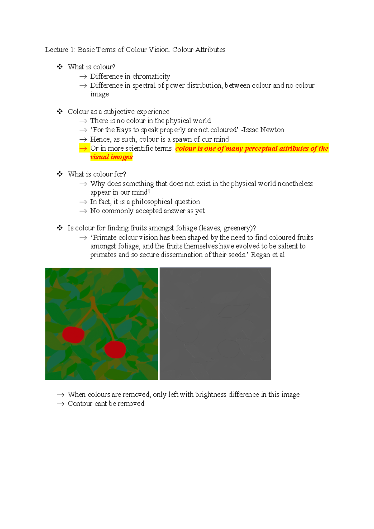 Theories of Colour Vision - Lecture 1: Basic Terms of Colour Vision ...