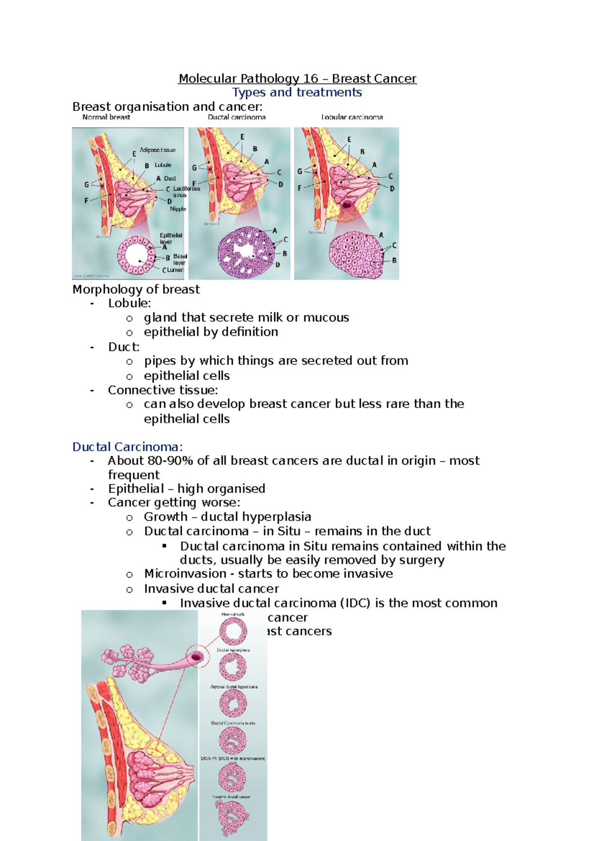 Molecular Pathology 16 - Breast Cancer - Molecular Pathology 16 ...