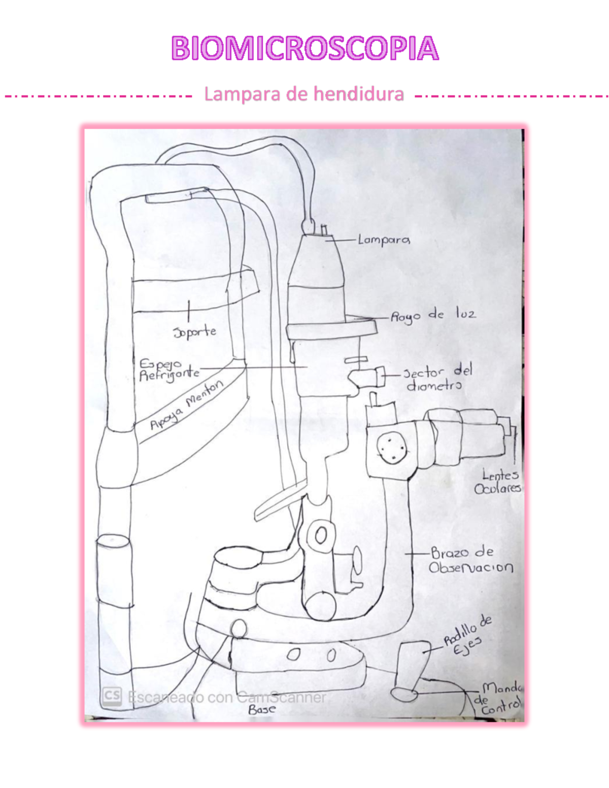 Lampara DE Hendidura - Estudien - Lampara de hendidura NOMBRE ...