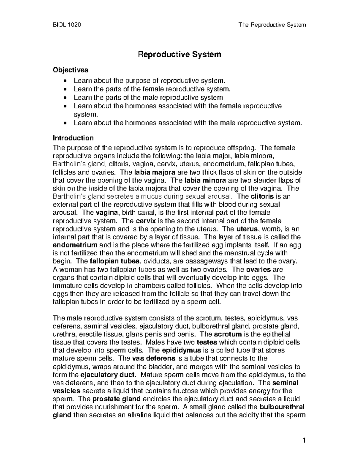 15 The Human Reproductive System BIOL 1020 - BIOL 1020 The Reproductive ...