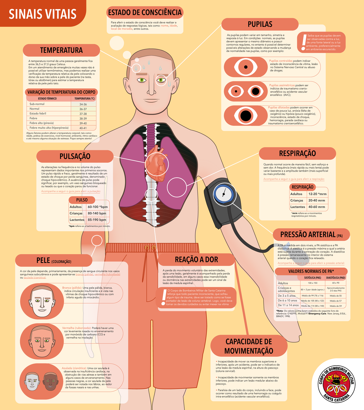 Infografico tecnico - PRESSÃO ARTERIAL (PA) A PA é medida em dois ...