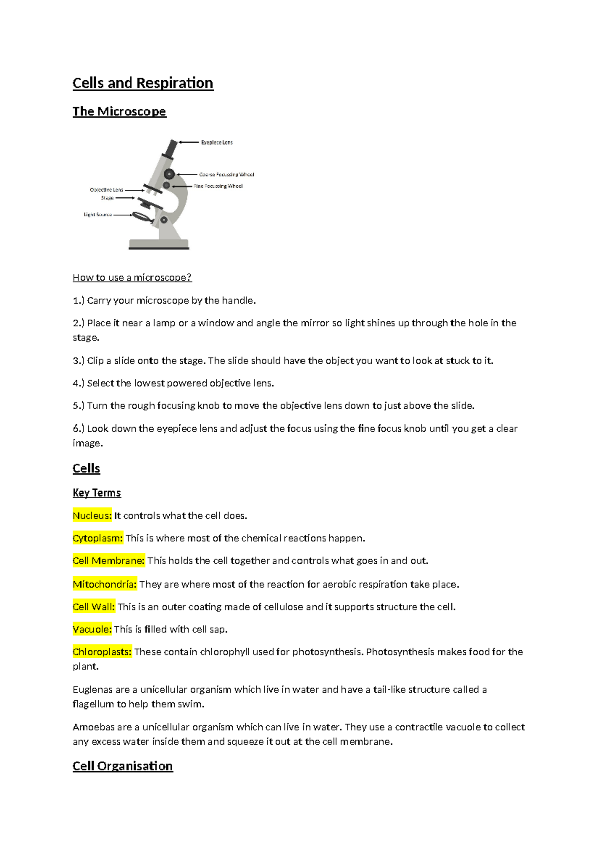 Biology - Cells and Respiration The Microscope How to use a microscope ...