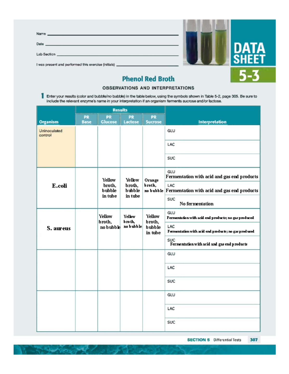 5-3 micro - coursework - Date - Lab Section - I was present and performed this exercise ...