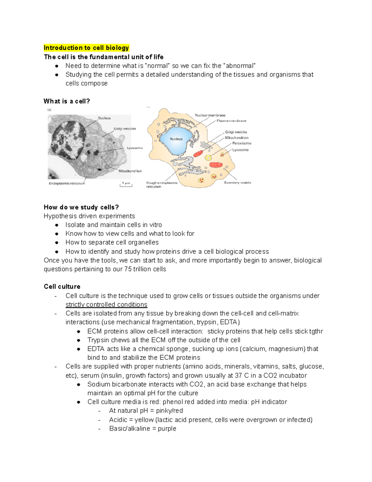 Midterm 1 - Introduction to cell biology The cell is the fundamental ...