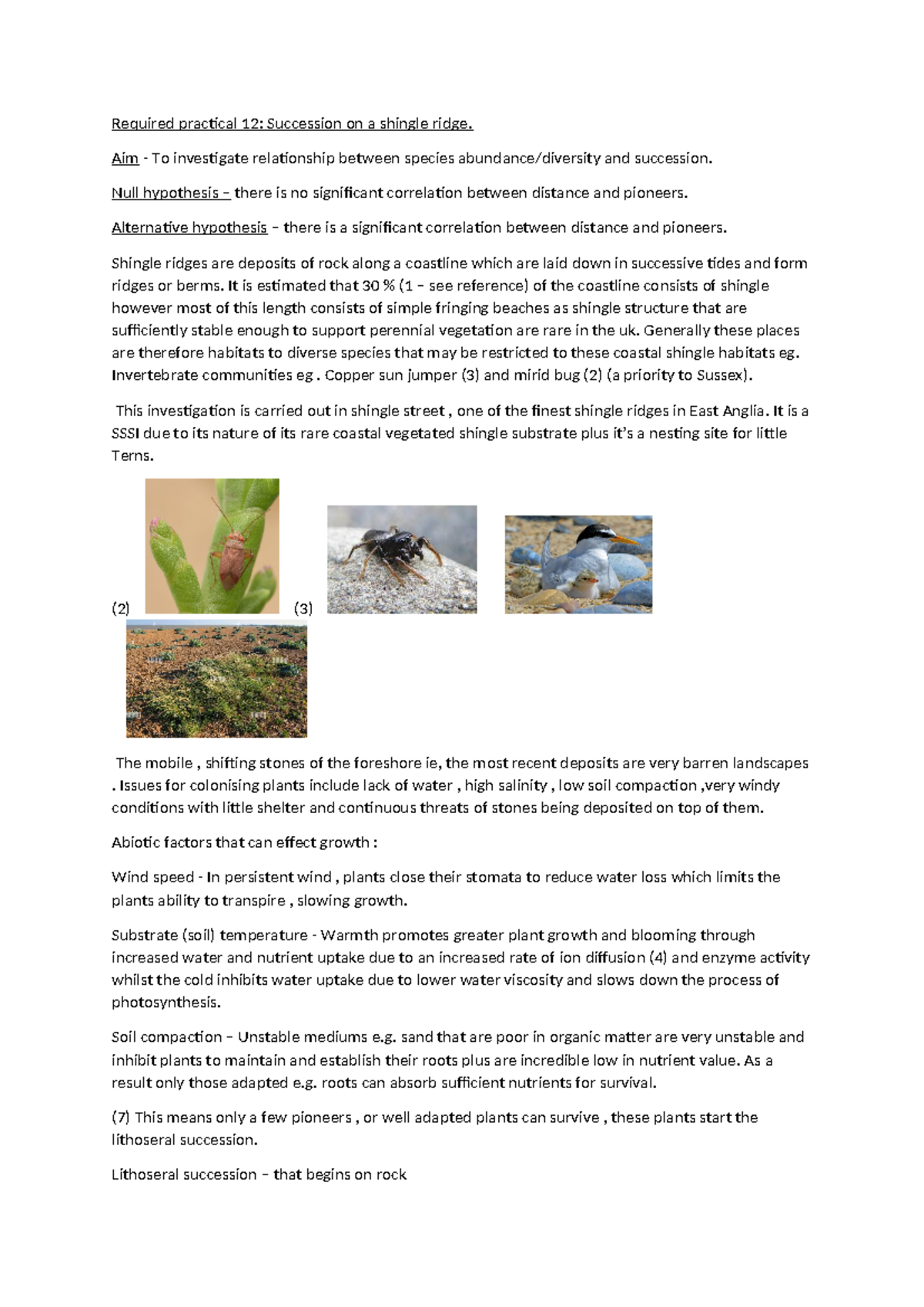 Cpac 12 - shingle ridge succession - Required practical 12: Succession ...