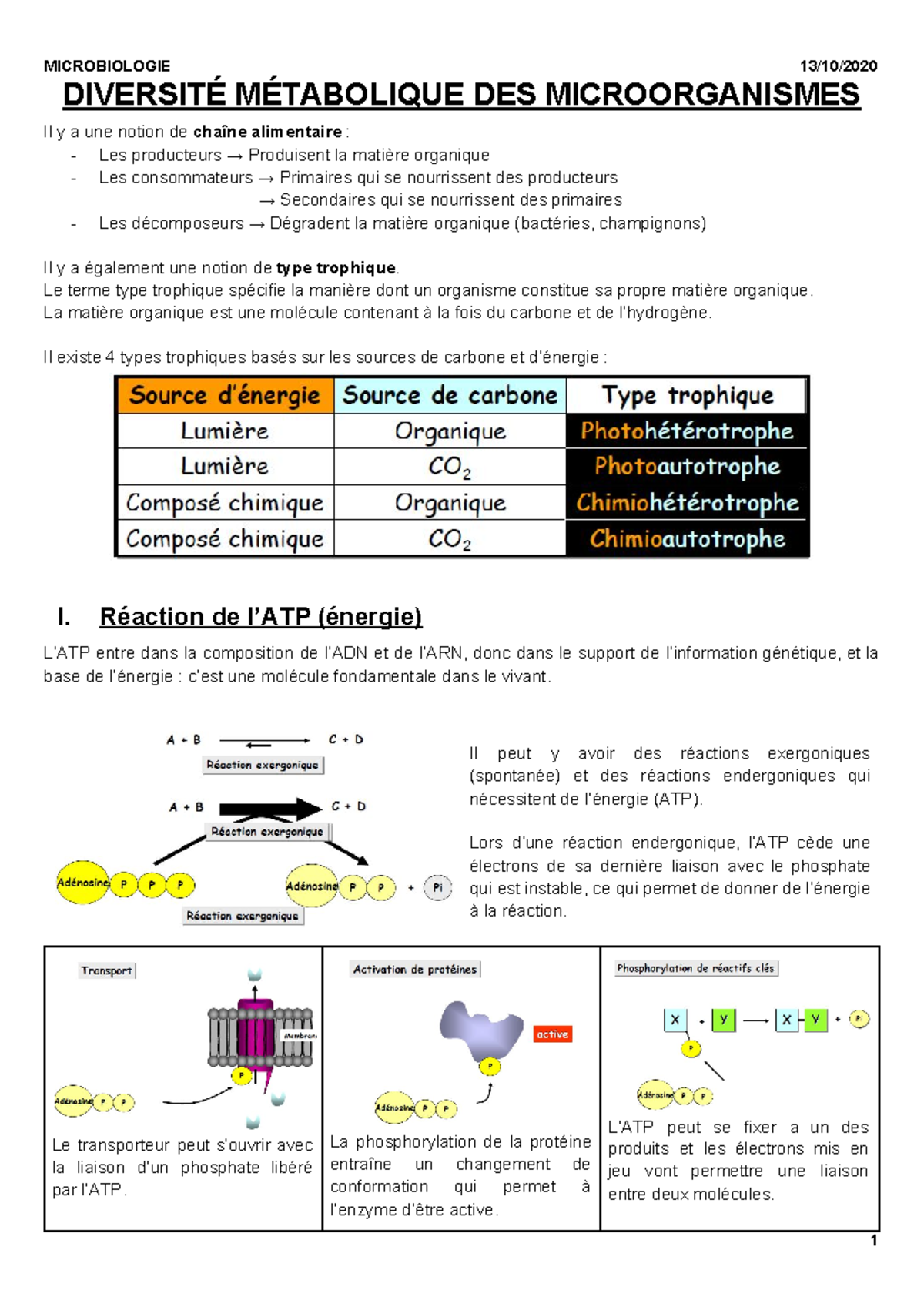 Diversité métabolique des microorganismes L2 BCP - S3 - DIVERSITÉ MÉTABOLIQUE DES ...