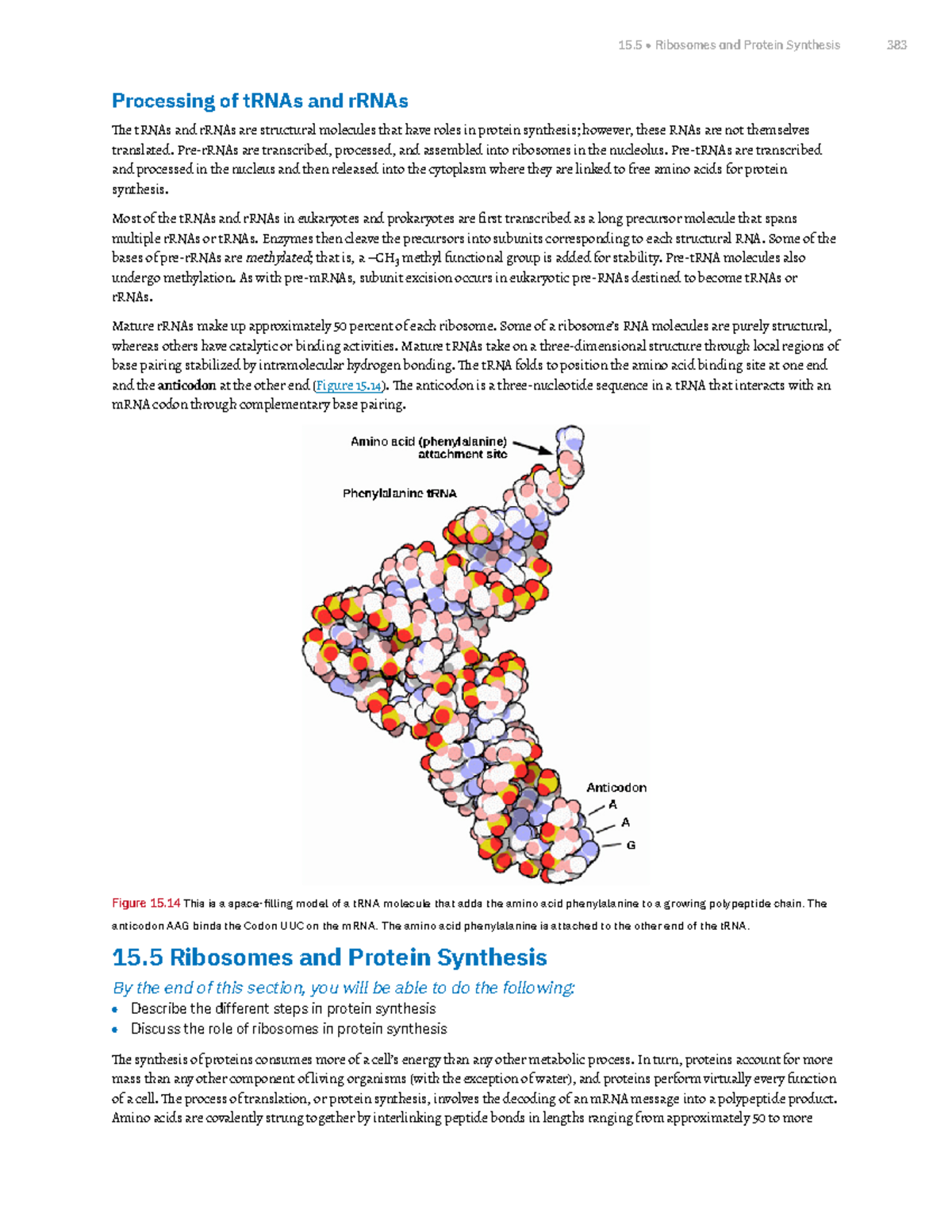 Chapter 15 Genes and Proteins Part 8 - Processing of tRNAs and rRNAs ...