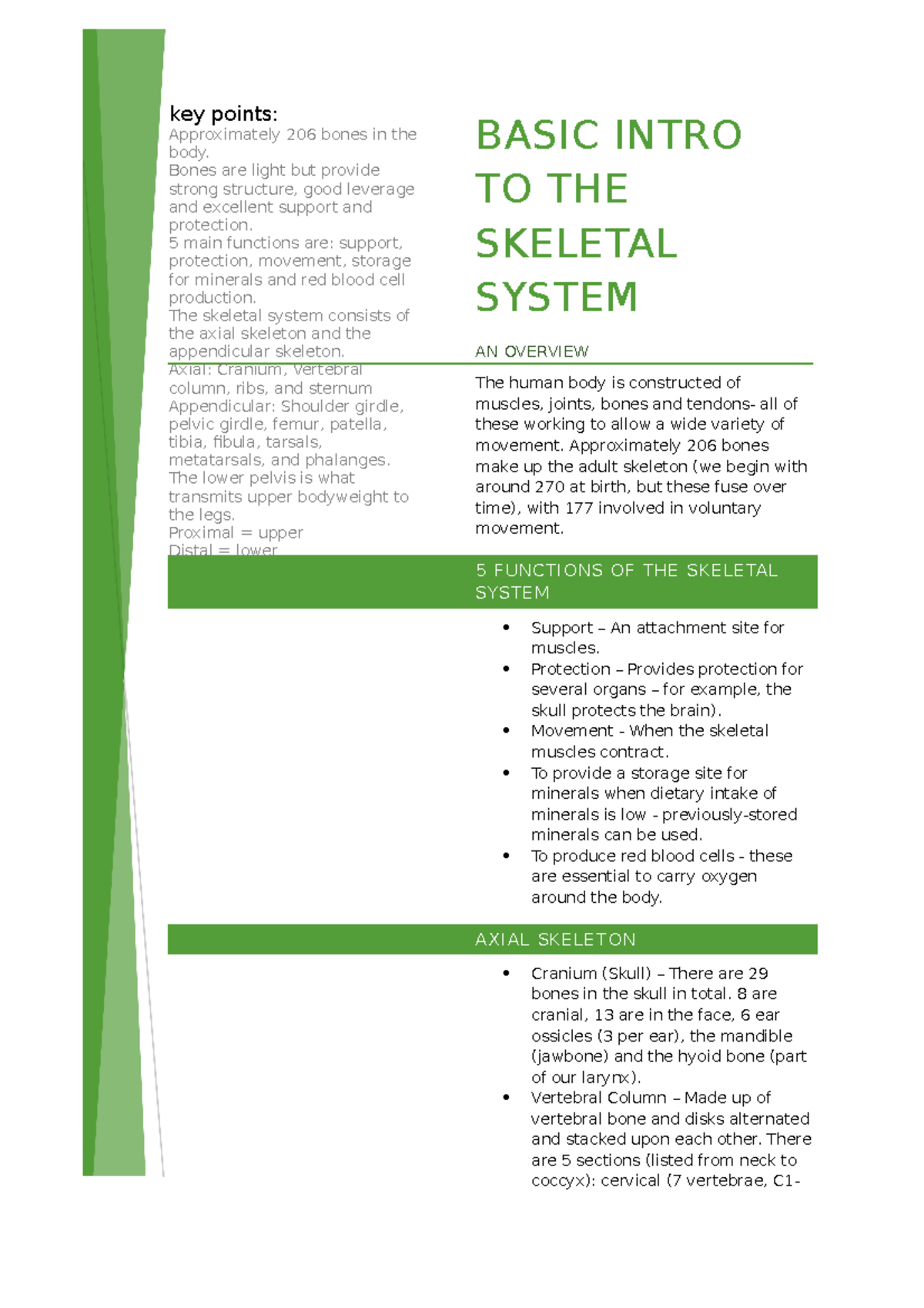 Intro to the Skeletal System - BASIC INTRO TO THE SKELETAL SYSTEM AN ...