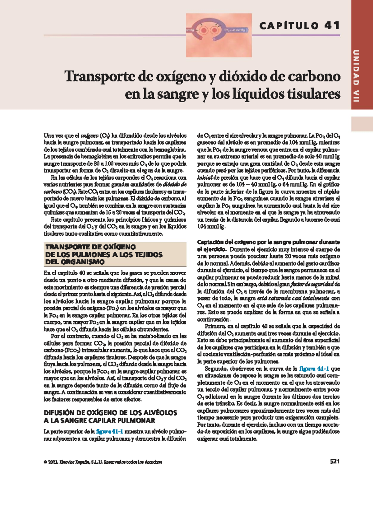 Guyton & hall capitulo 41 - 521 U N I D A D V I I © 2021. Elsevier España, S.L. Reservados todos ...