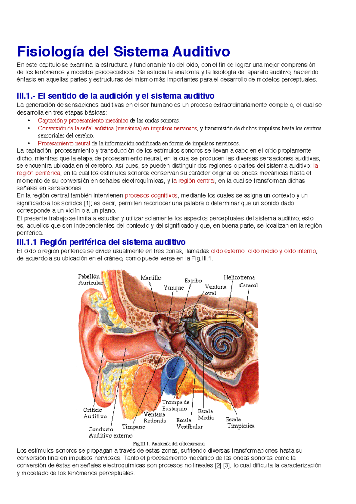 Pdf - Anatomía del conducto auditivo - Fisiología del Sistema Auditivo ...