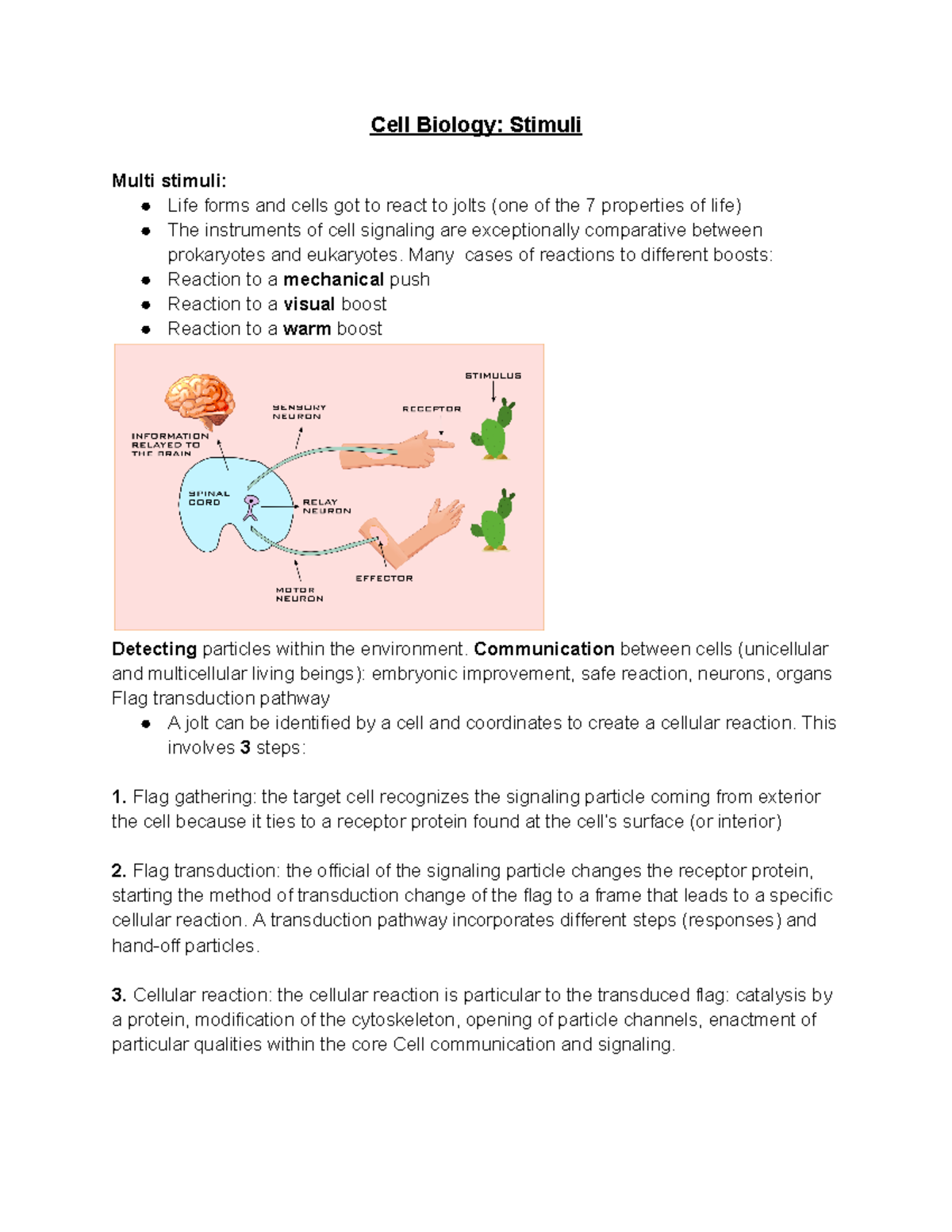 Cell Biology Stimuli - Cell Biology: Stimuli Multi stimuli: Life forms ...
