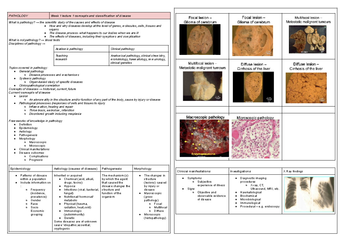 Pathology week 1-3 lecture - PA TH O LO GY W ee k 1 le ctu re 1 c on ce ...