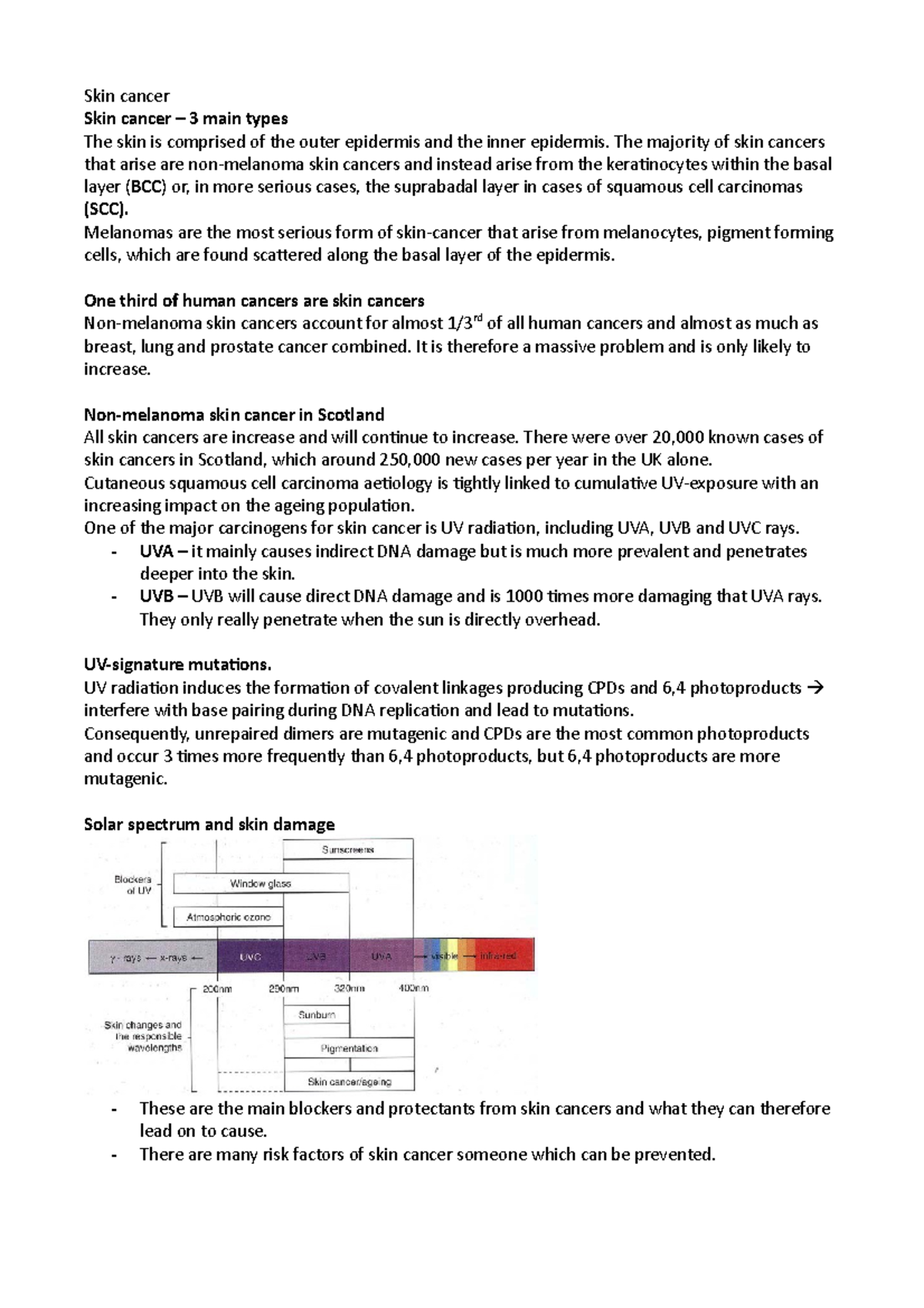 Skin cancer - Lecture notes 7 - Skin cancer Skin cancer – 3 main types ...