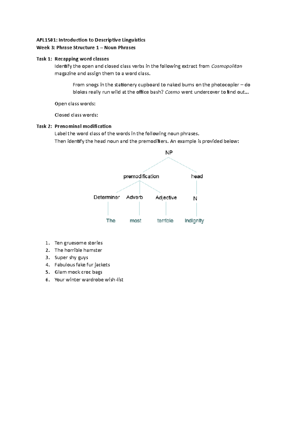 Noun Phrases Notes - AFL1501: Introduction to Descriptive Linguistics ...