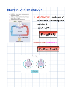 Biochem (lab) - Laboratory Apparatus Erlenmeyer Flask Clay Triangle ...